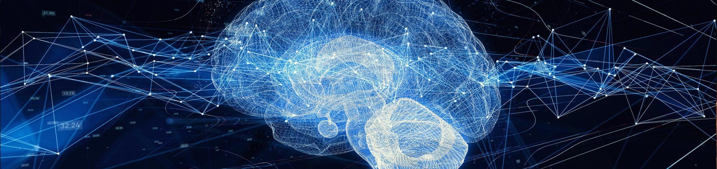 Neuroscience | Department of Molecular, Cell and Systems Biology